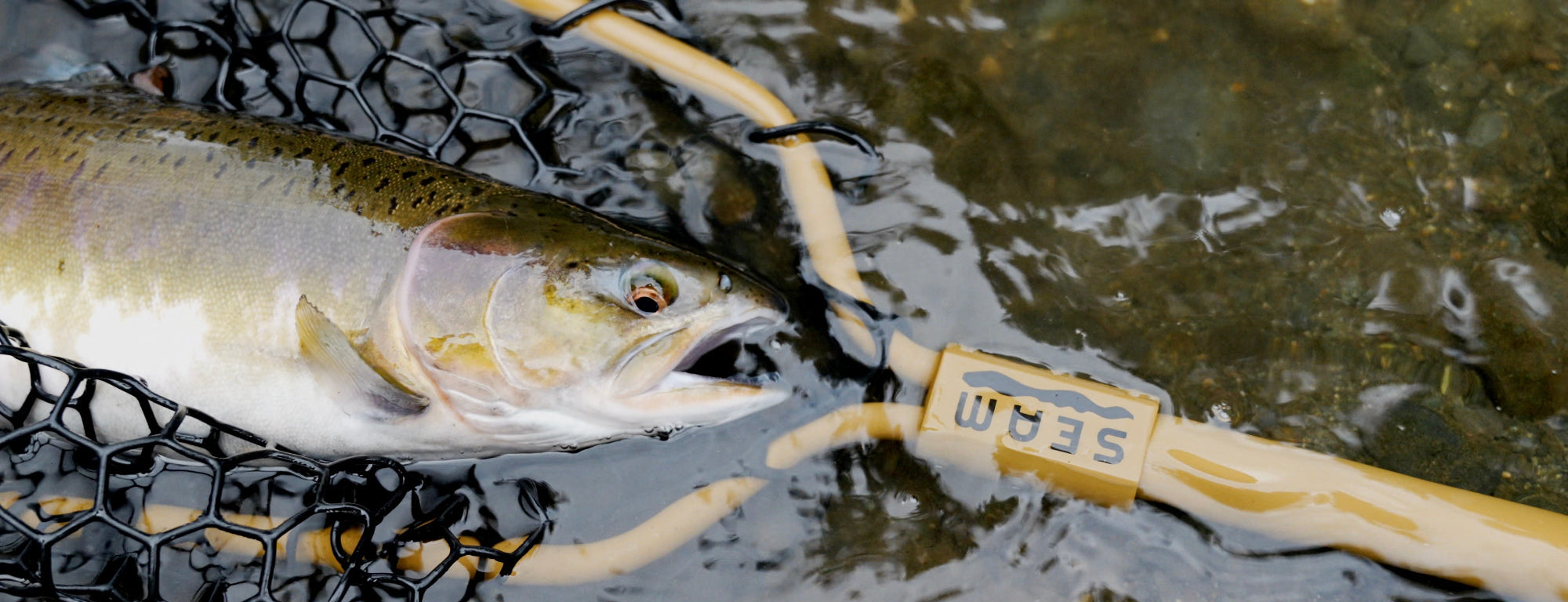 Nets – Seam Fishing